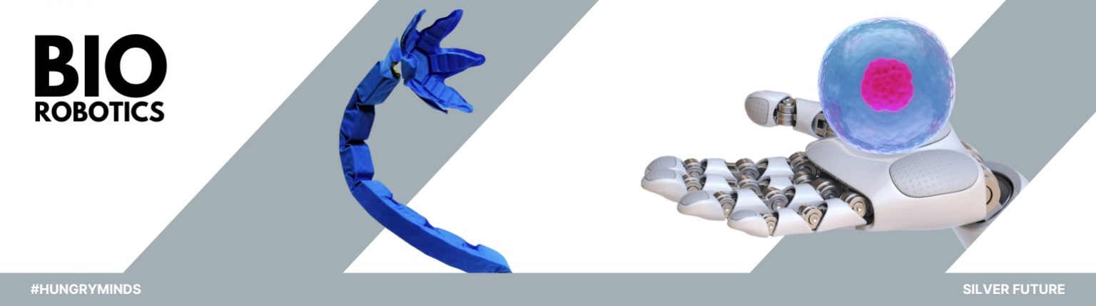 First bio-robots made of human cells built: but what is biorobotics and ...